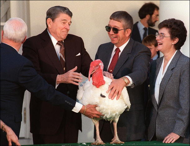 All This Is That: A pictorial history of Presidential turkey pardons ...
