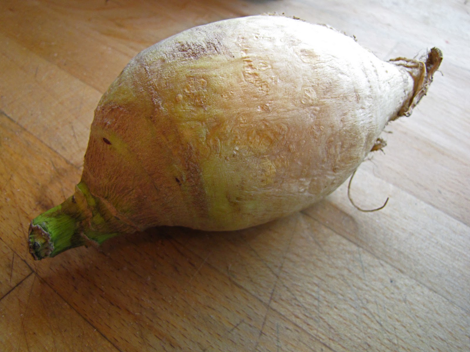 Grapes and Greens: Gilfeather