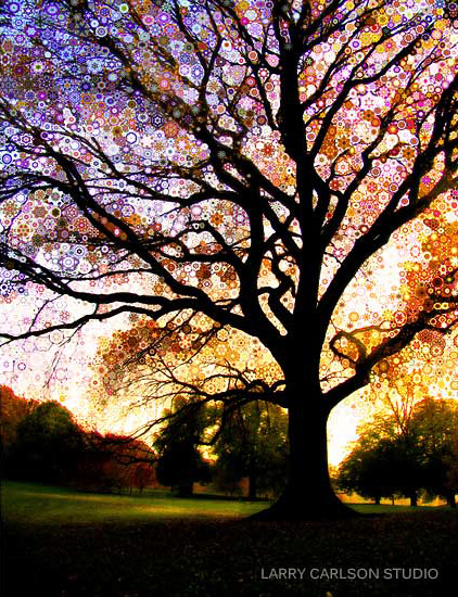 Just a cool tree [pic] : r/woahdude