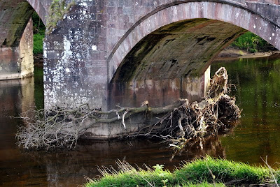 Light and Dark: A Bridge Over The River Annan