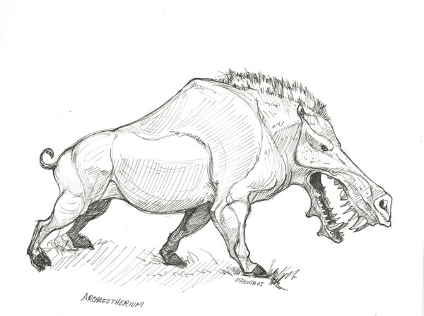 blog pre historico: Archaeotherium