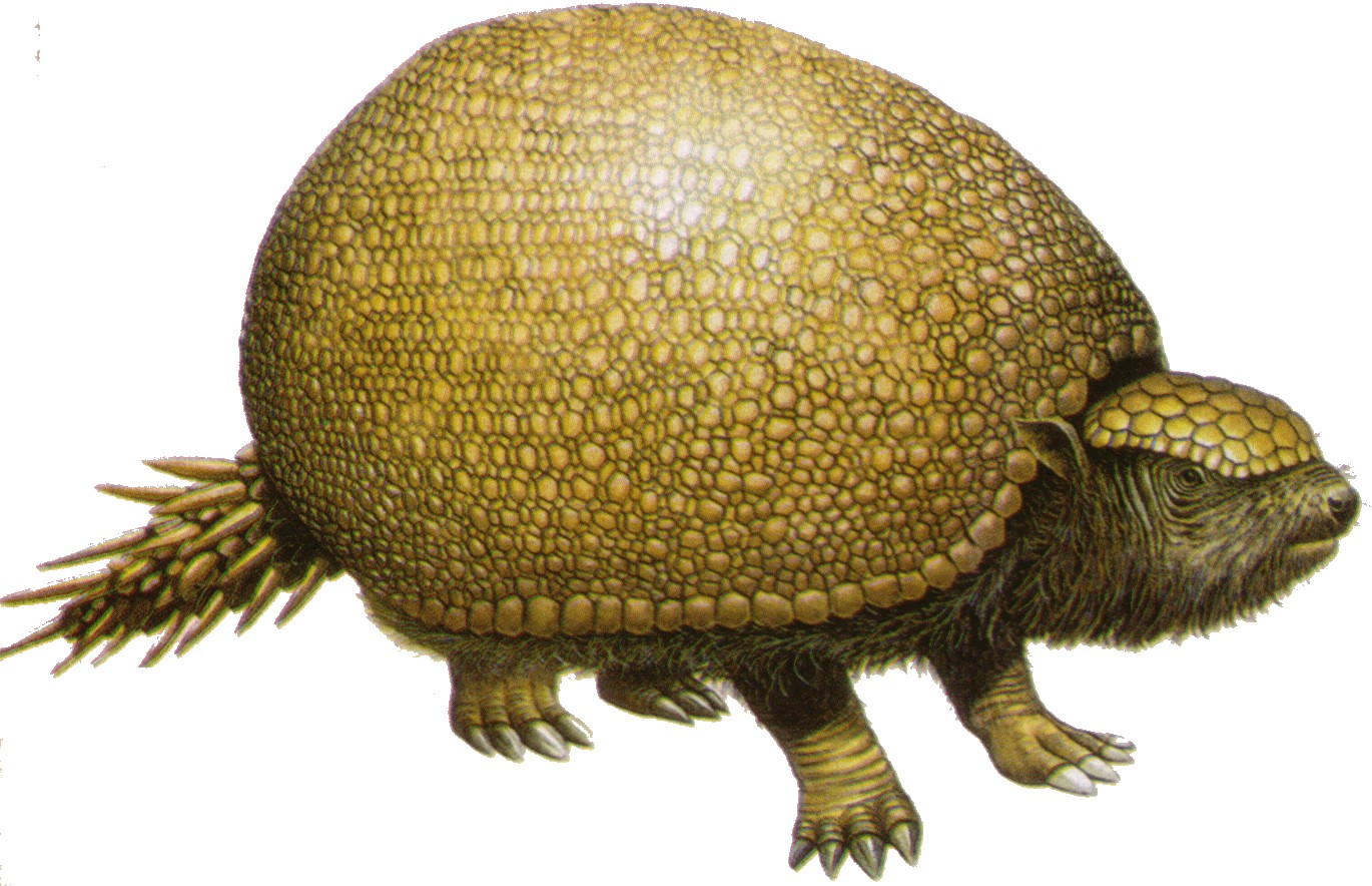 Arca dos Extintos: Gliptodonte