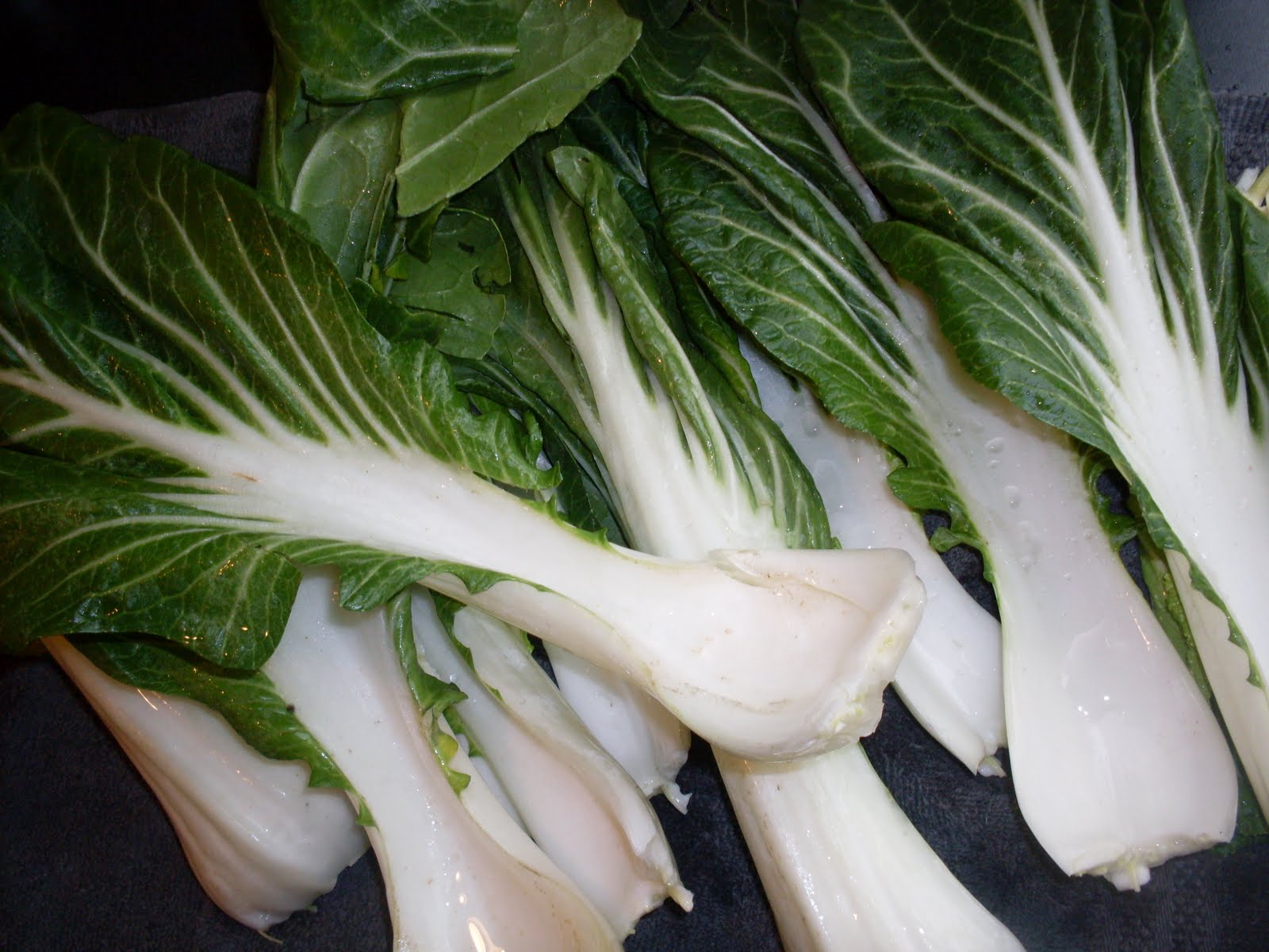 FRESH AIR + FRESH FOOD: Bok Choy Challenge