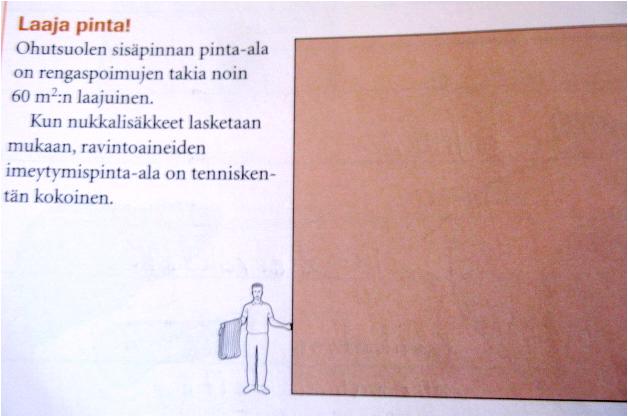 Ysin urakat: Biologia