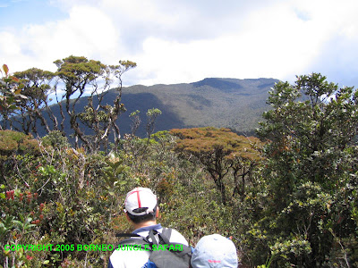 Presenting: First Glimpse of Mount Murud - The Journey