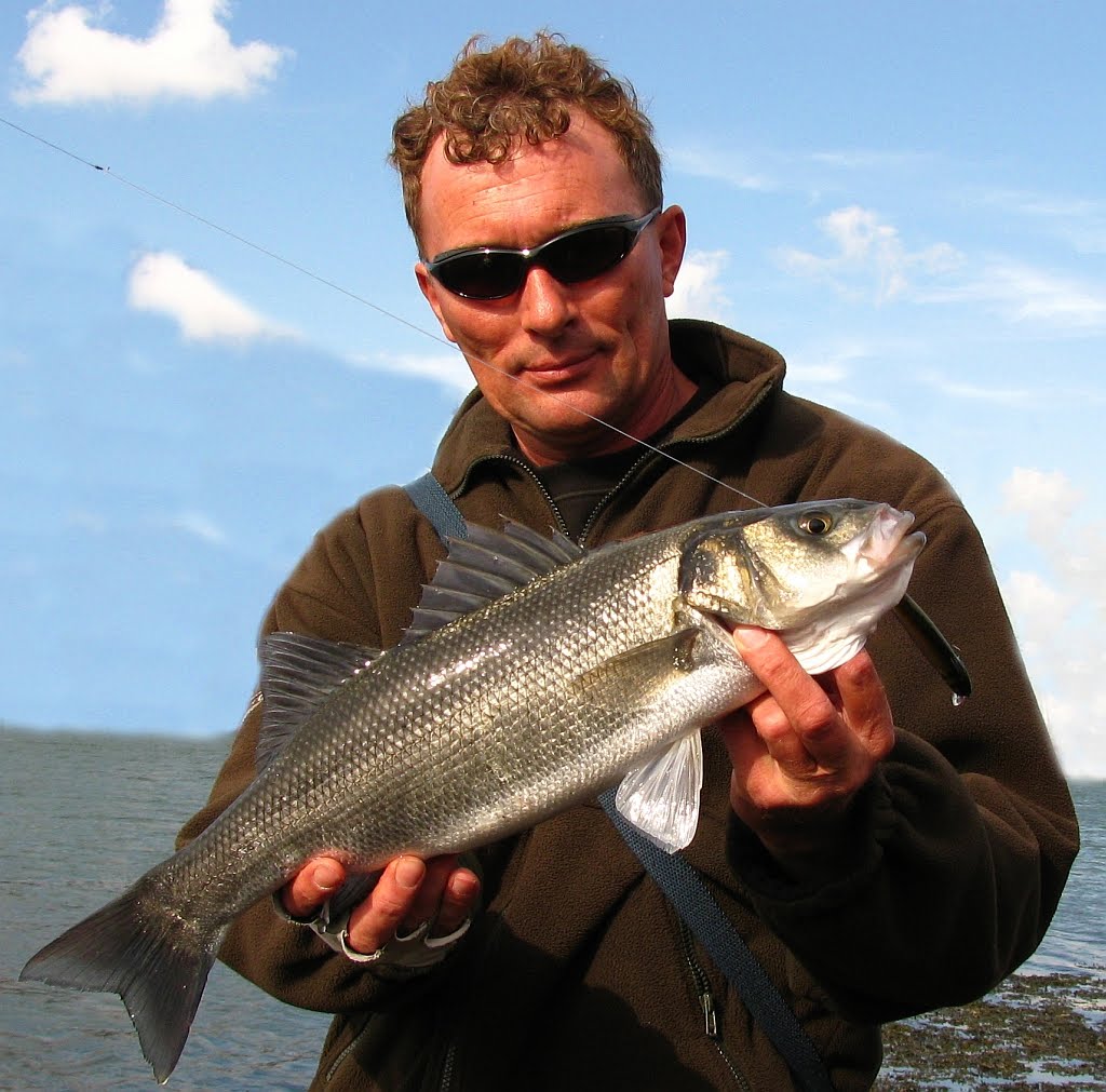 Zeebaarsshop.nl Blog - Dutch Bass Fishing: Een uniek baarsje...