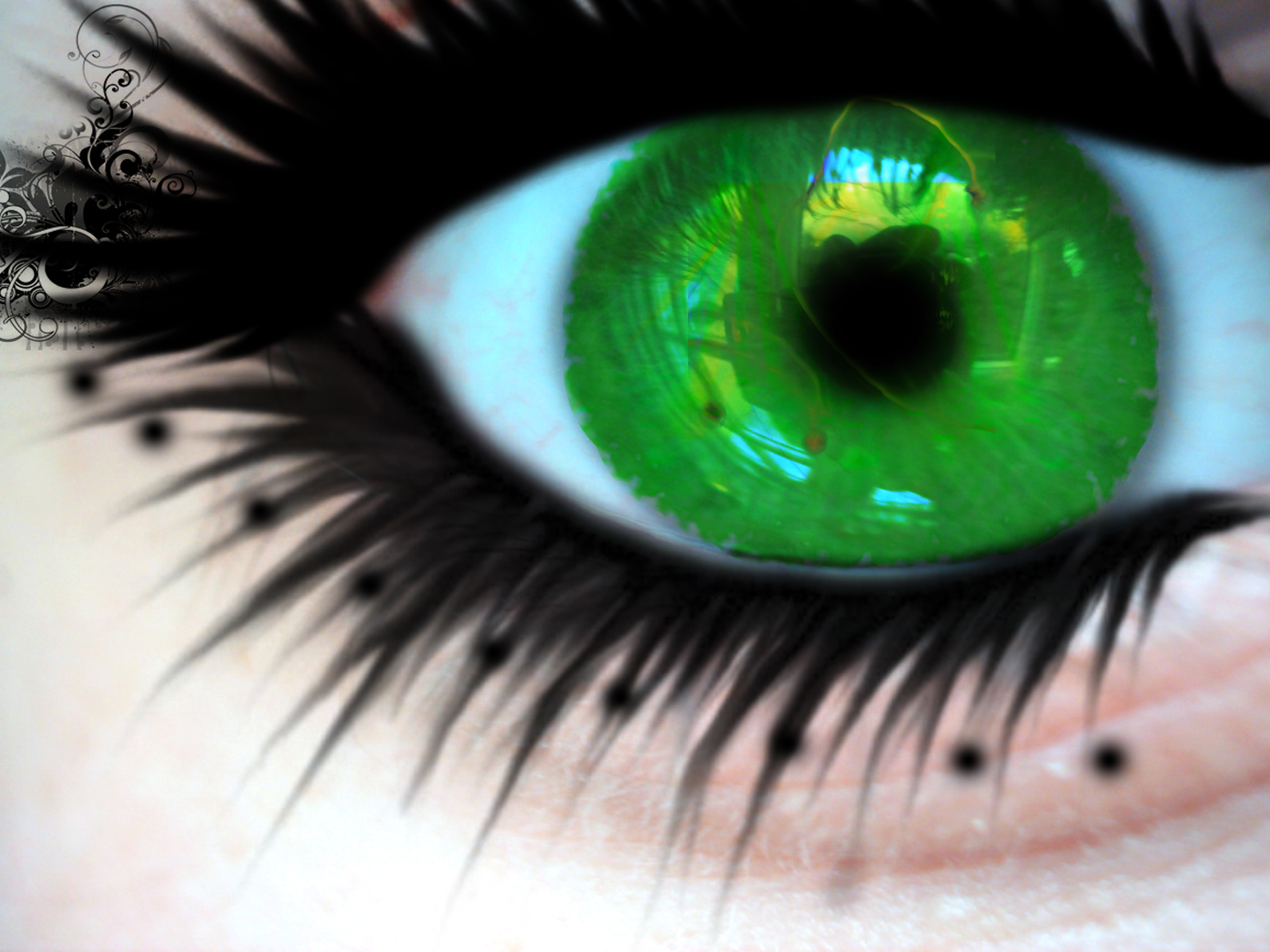 Freaky kids are awesome too !: November 2010