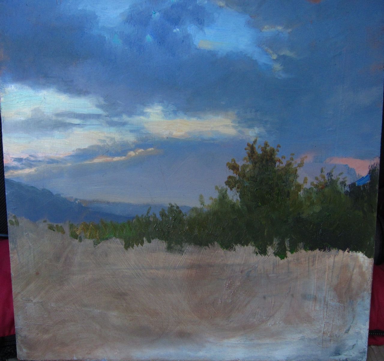 GCA Blog: Field Studies from the Fellowship