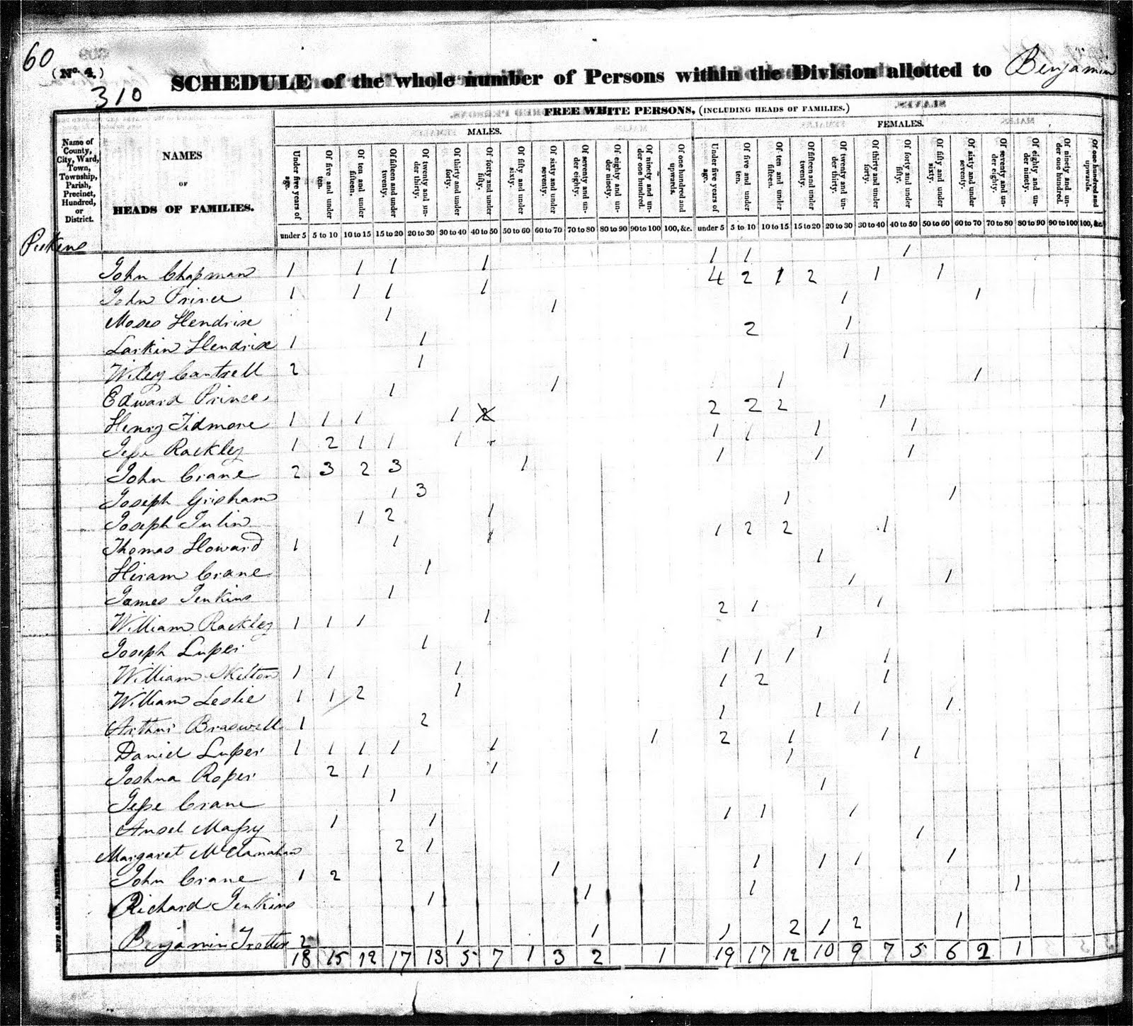 Braswell-Bracewell DNA Lineages