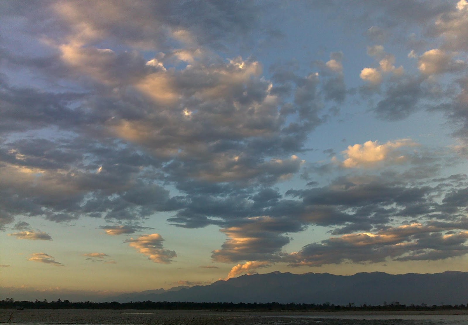 Rainforest of Assam: PHOTO GALLERY