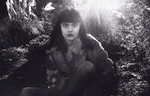 deadweight on velveteen: zoe zimmer: a photographic entry