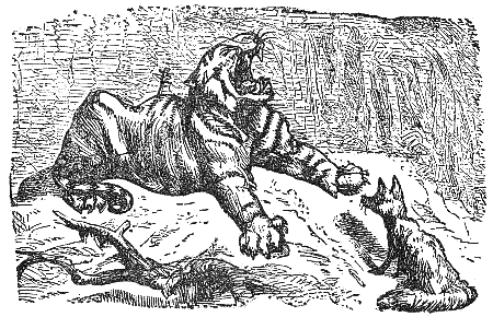 Aesop's Fable Stories: The Fox and The Tiger