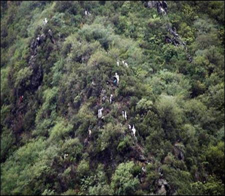 Pakistan Probe: In The Memory of Airblue Flight 202