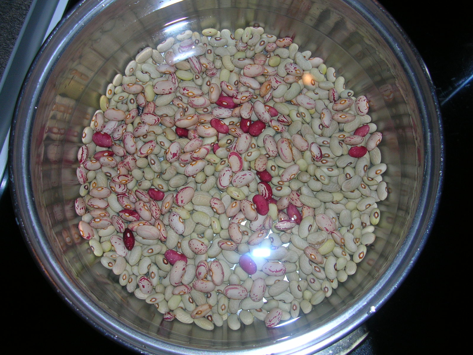 Kuvar za početnike: Pasulj