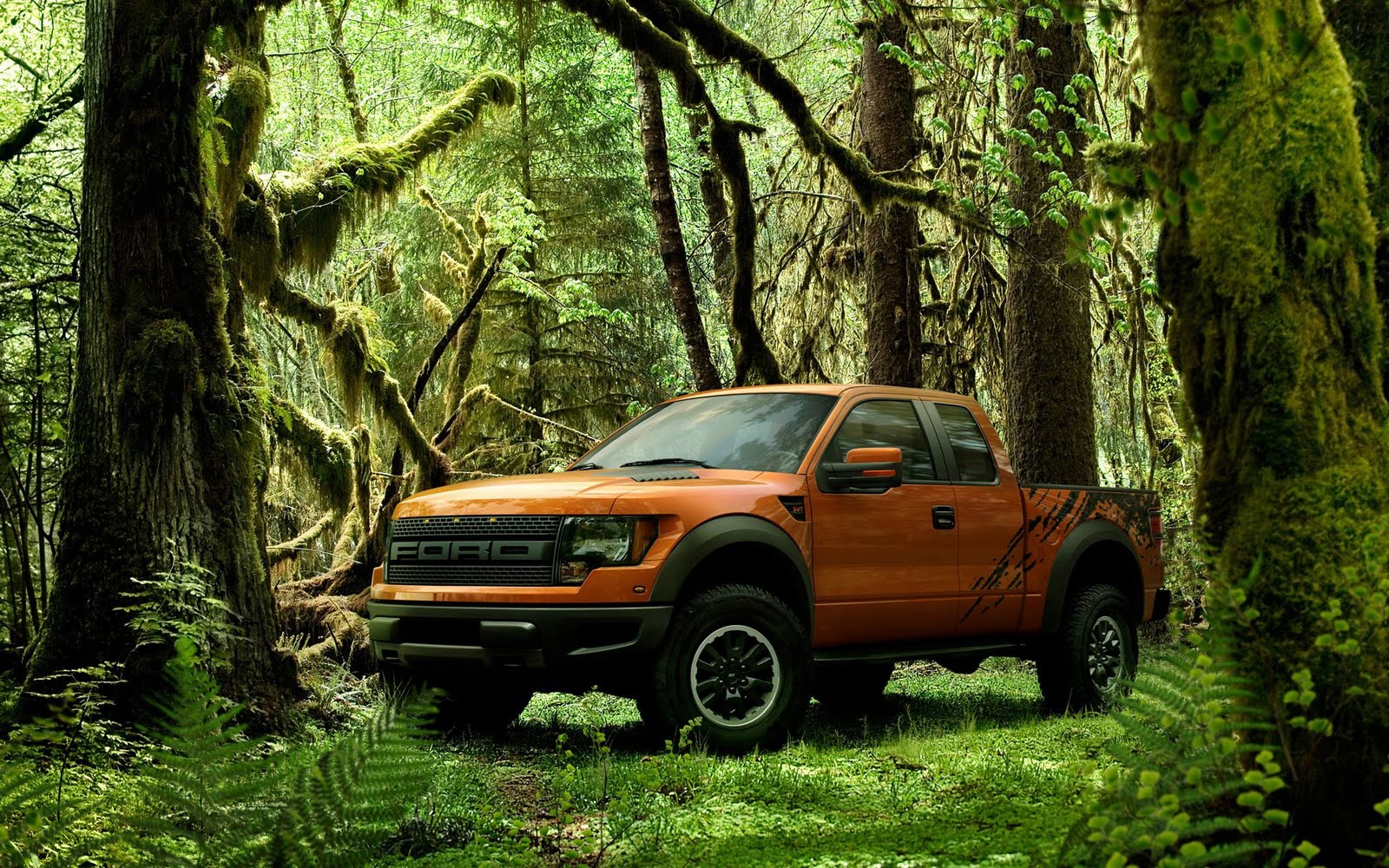 Ford F-150 SVT Raptor | Hd Desktop Wallpaper