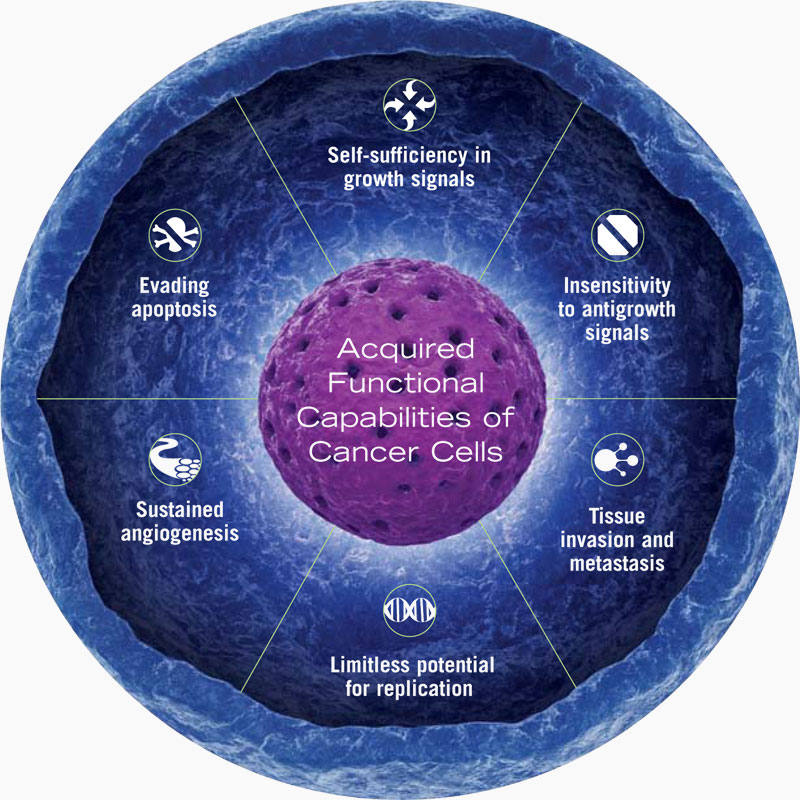CSIR LIFE SCIENCE PREPARATION: Hallmarks of a cancer cell