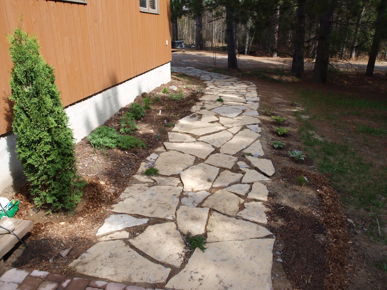 My Cottage Garden: Finished Planting the Front Beds