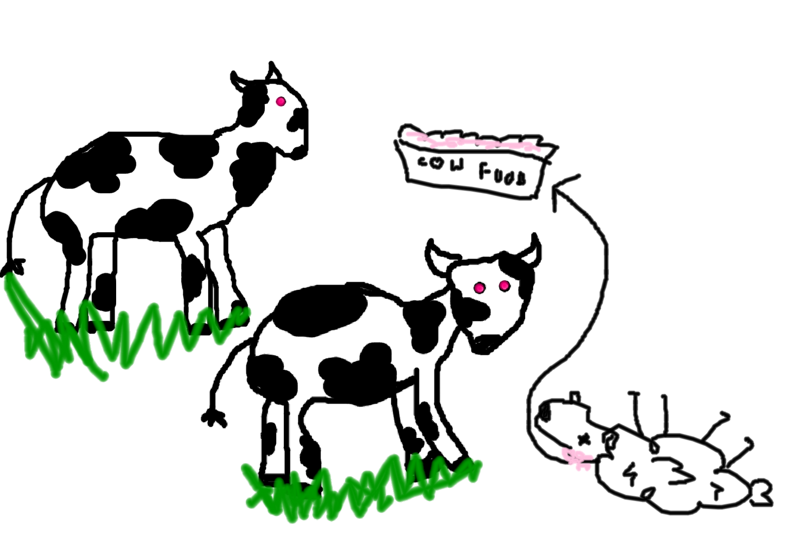 Drizzled in Awesomeness: Forms of Government Explained Using Cows