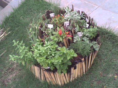 Horta e Vida "Cantinho da Vida Saudável" : Alguns modelos de mini horta