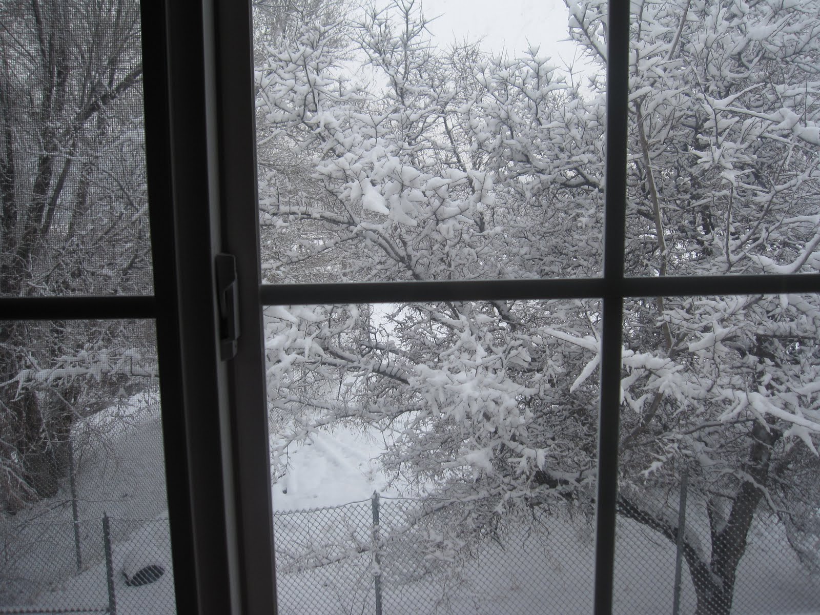 Darth Val: the view outside my bedroom window this morning