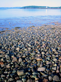 Bay of Fundy Blog: Introducing the cobble beach
