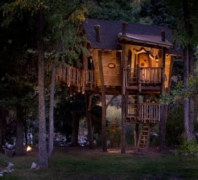 Amazing Images Blog: Amazon Tree Houses, Beautiful