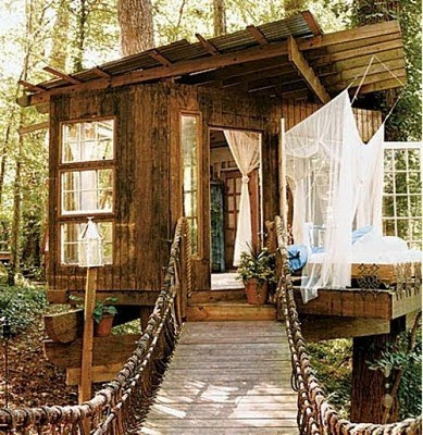 Amazing Images Blog: Amazon Tree Houses, Beautiful