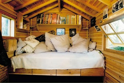 Amazing Images Blog: Amazon Tree Houses, Beautiful