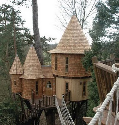 Amazing Images Blog: Amazon Tree Houses, Beautiful