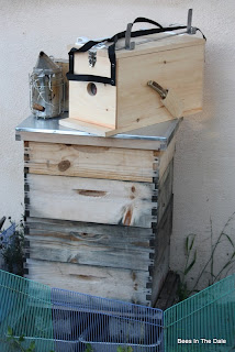 The Buzz In The Dale: A Bee-ful Christmas