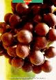 caqueta es pasion: Frutas