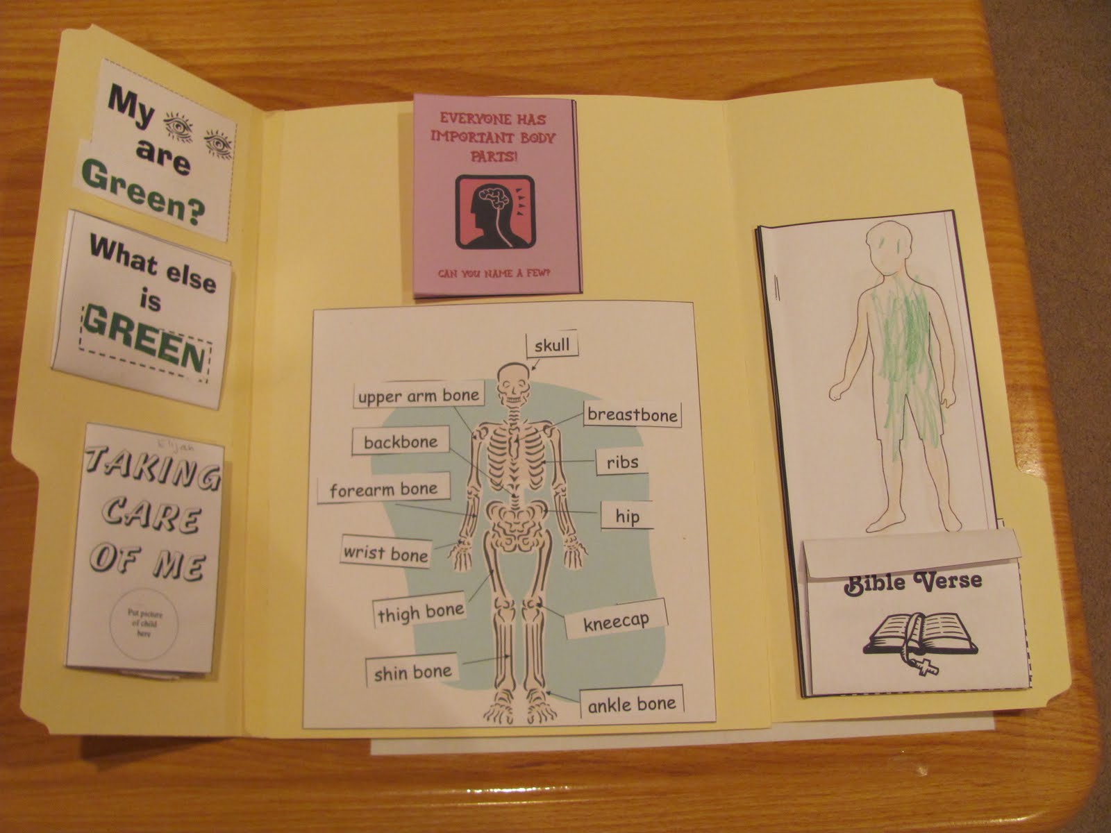 My Two Happy Homeschoolers: Human Body Lapbook