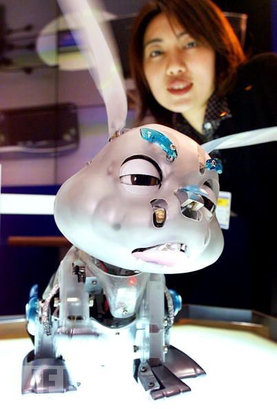 Pictures Gallery: Cool Robotic Animals