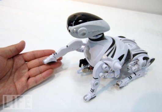 Pictures Gallery: Cool Robotic Animals