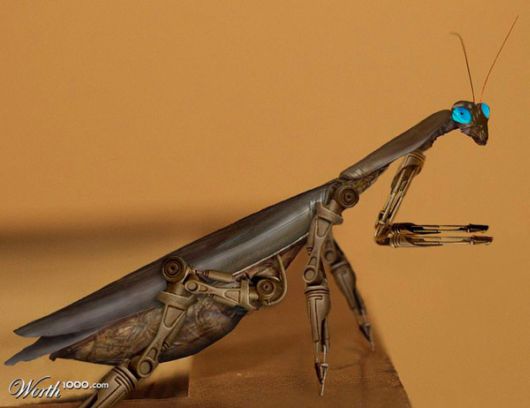 Pictures Gallery: Cool Robotic Animals