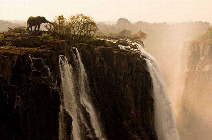 village of fun: The Most Unique Moments Captured