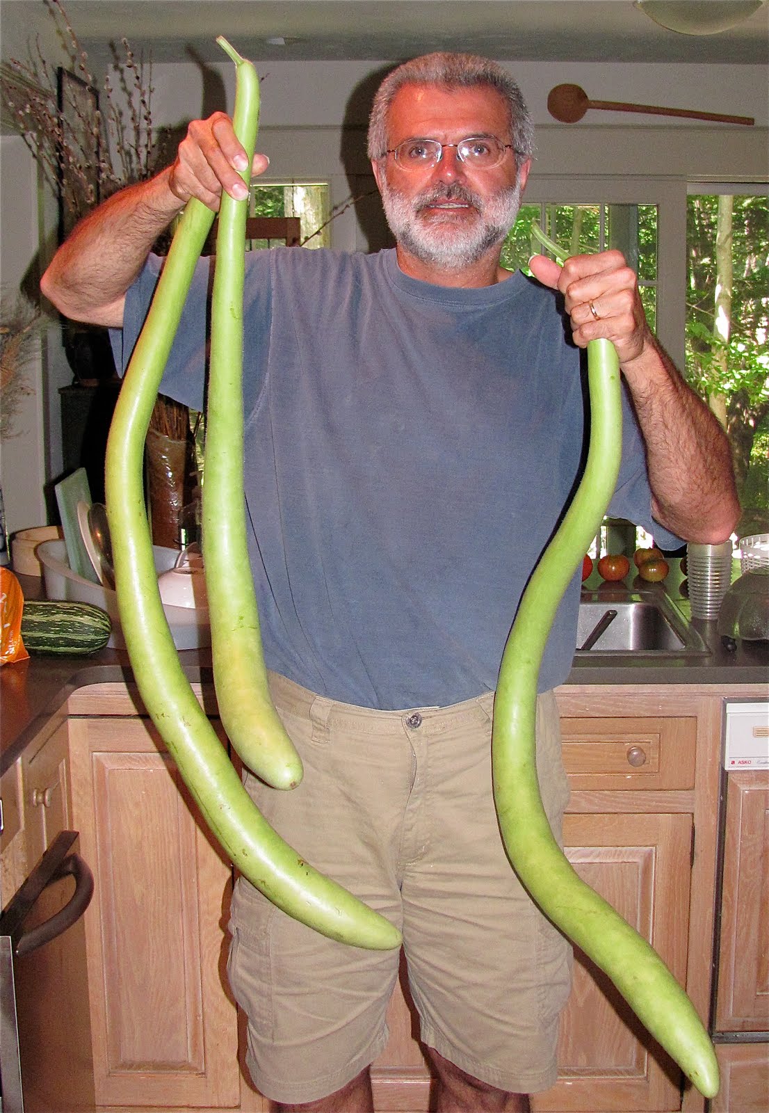 Mister Meatball: The Googootz