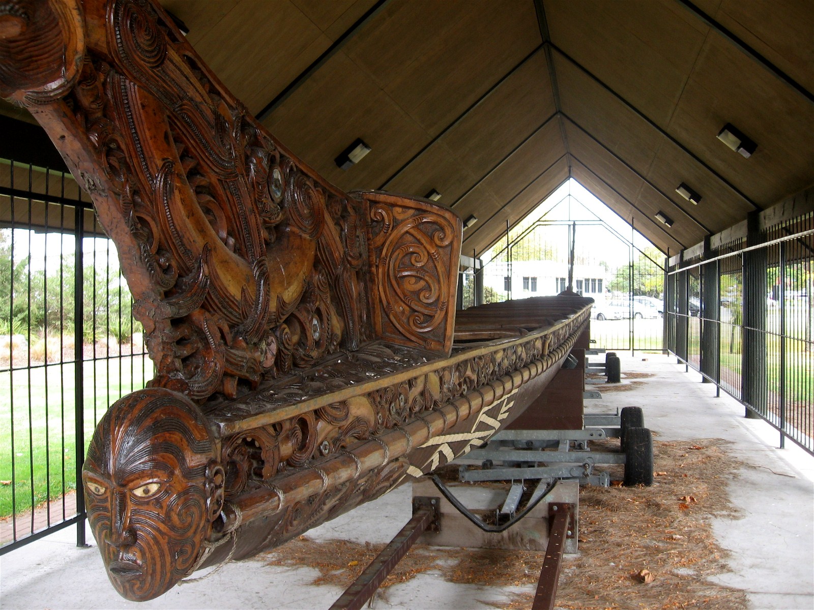 Blogging Middle Earth: N.I.T.: Enter Rotorua