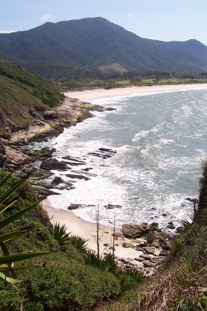 LOJA JACONE: jacone e sua biodiversidade