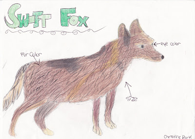 Christine Park: Gr,9 Zoo Project (Swift Fox)