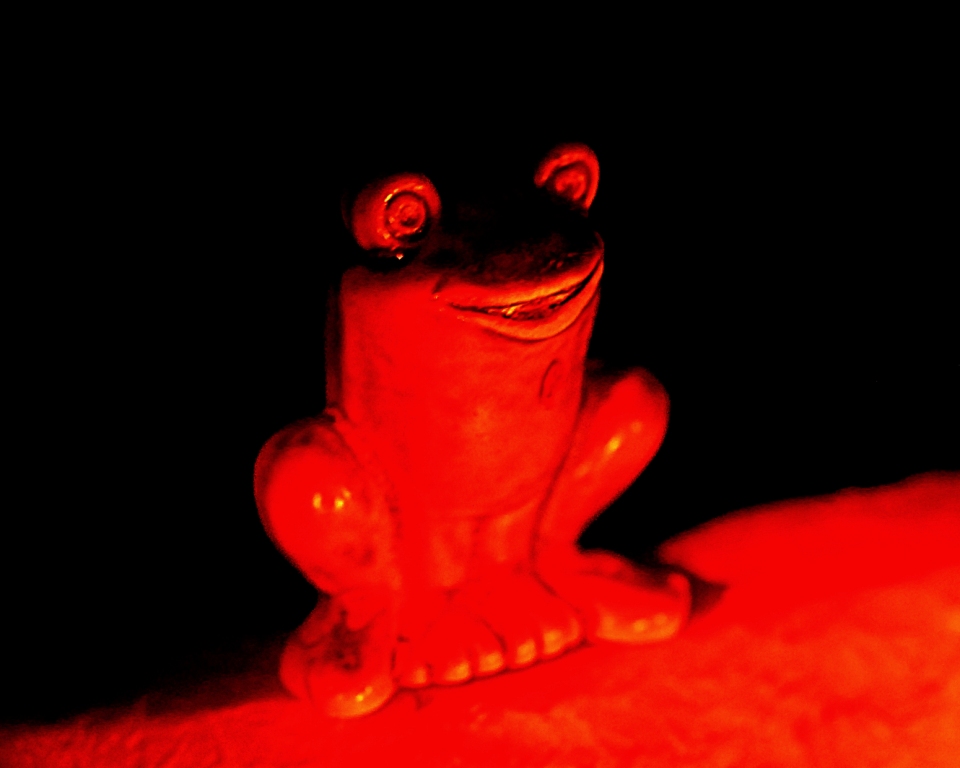 The Poor Mouth: Devil Frog