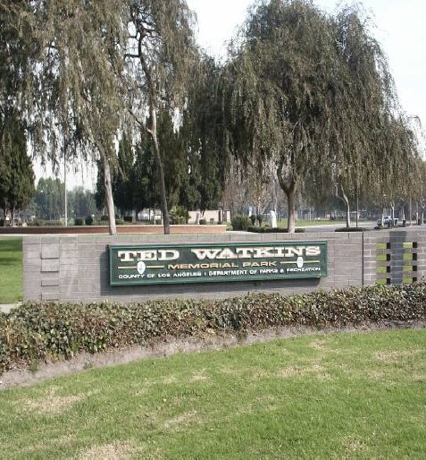 Militant Angeleno Archives