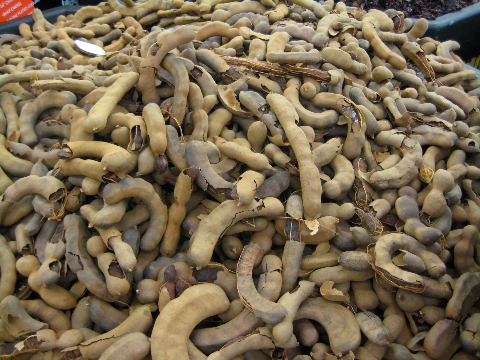 Simone & Lorna Learn to Cook: June 2010