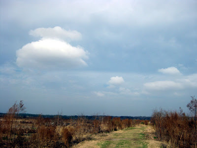 Scurrilous Tosh: January 2009