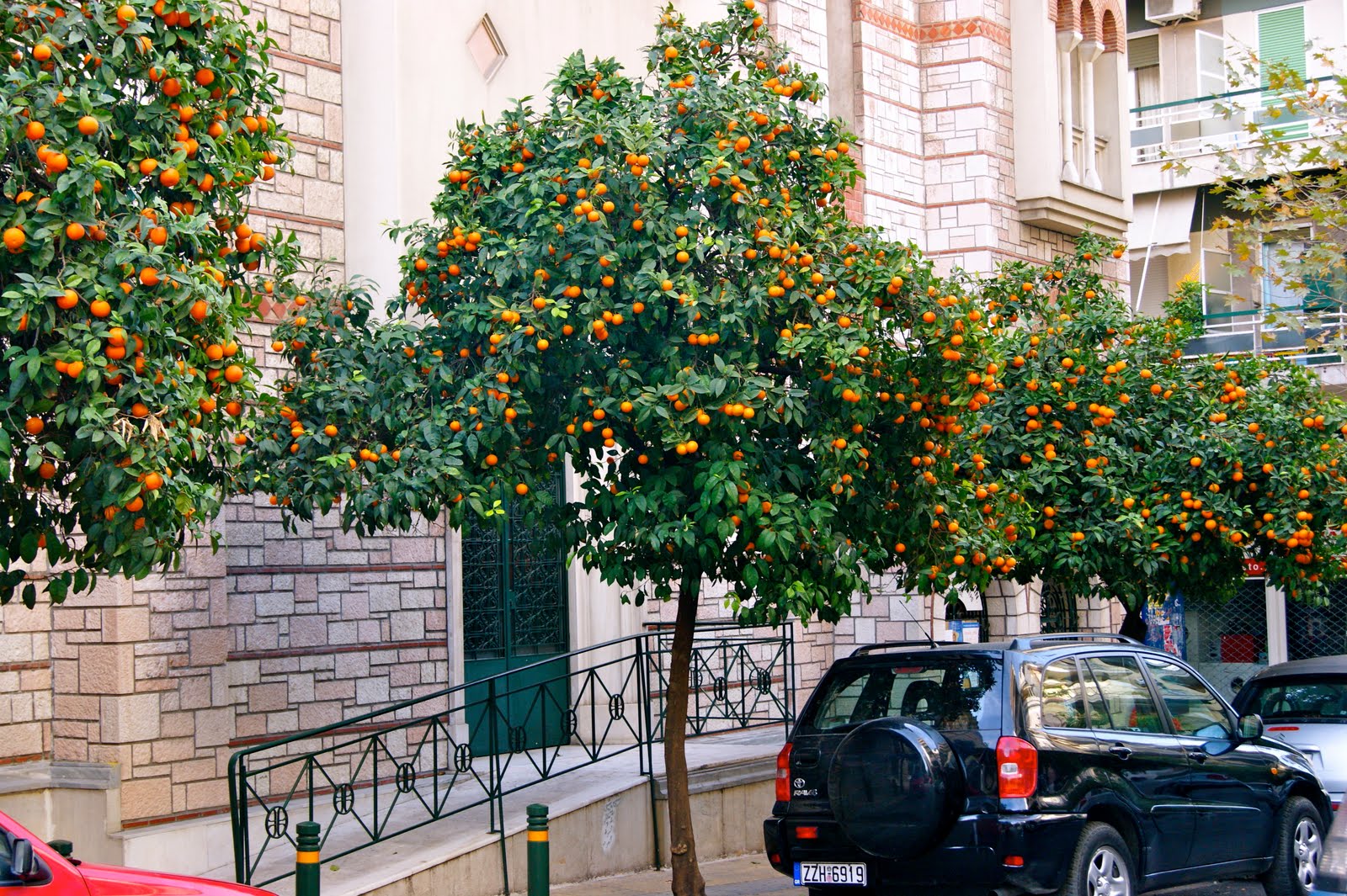 chronicles of my life: December 2010