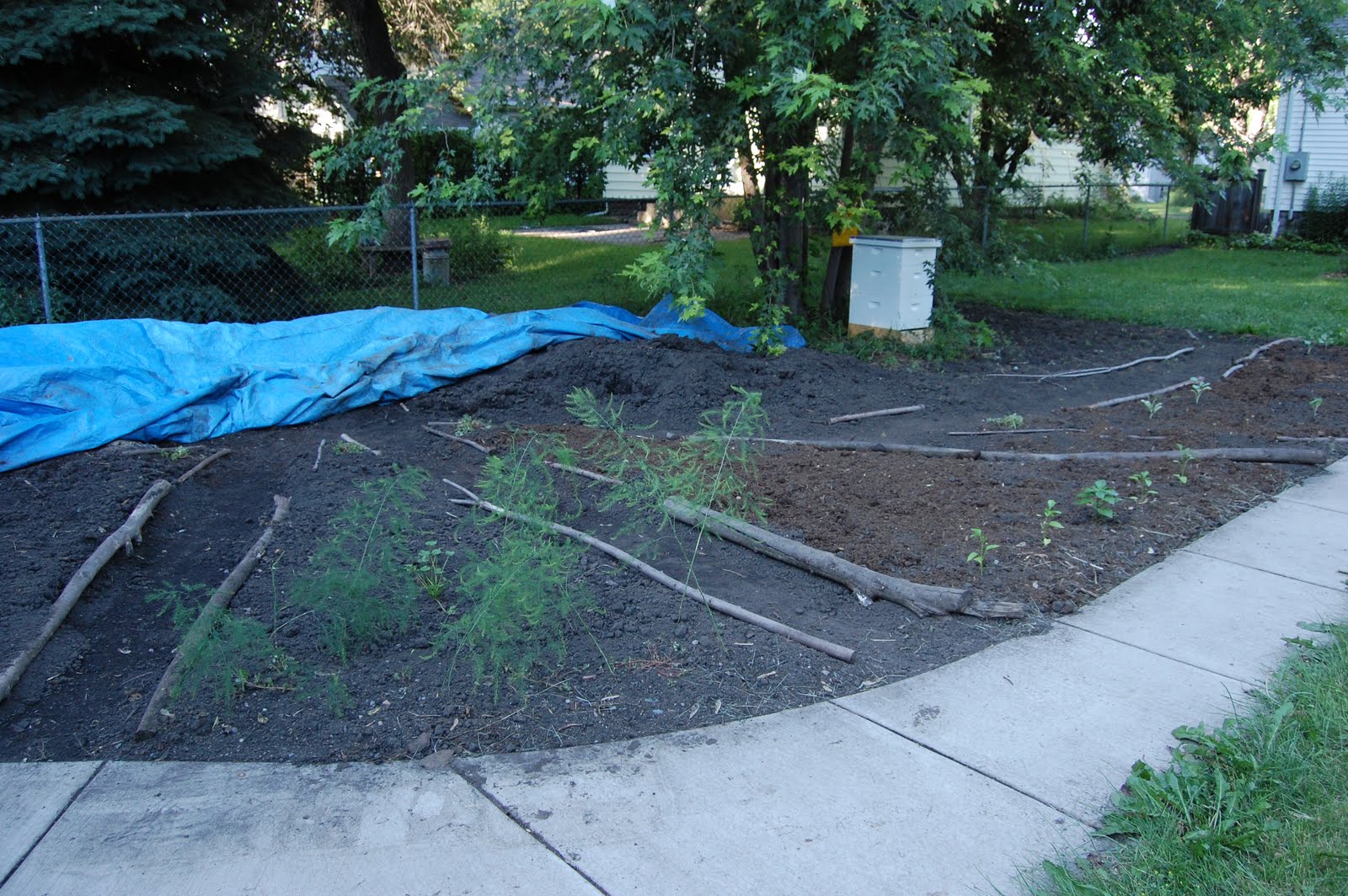 Digging In: Progress