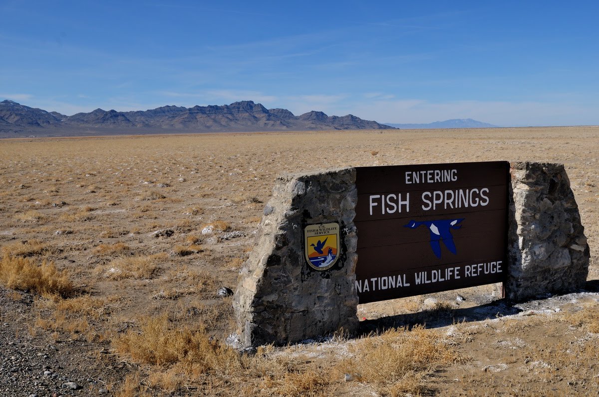 Photography of Lowell Harris: Fish Springs National Wildlife Refuge