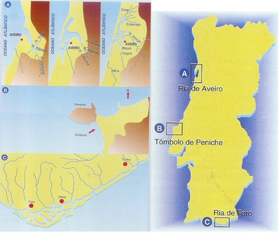 Ser Geógrafo: Acidentes do Litoral Português