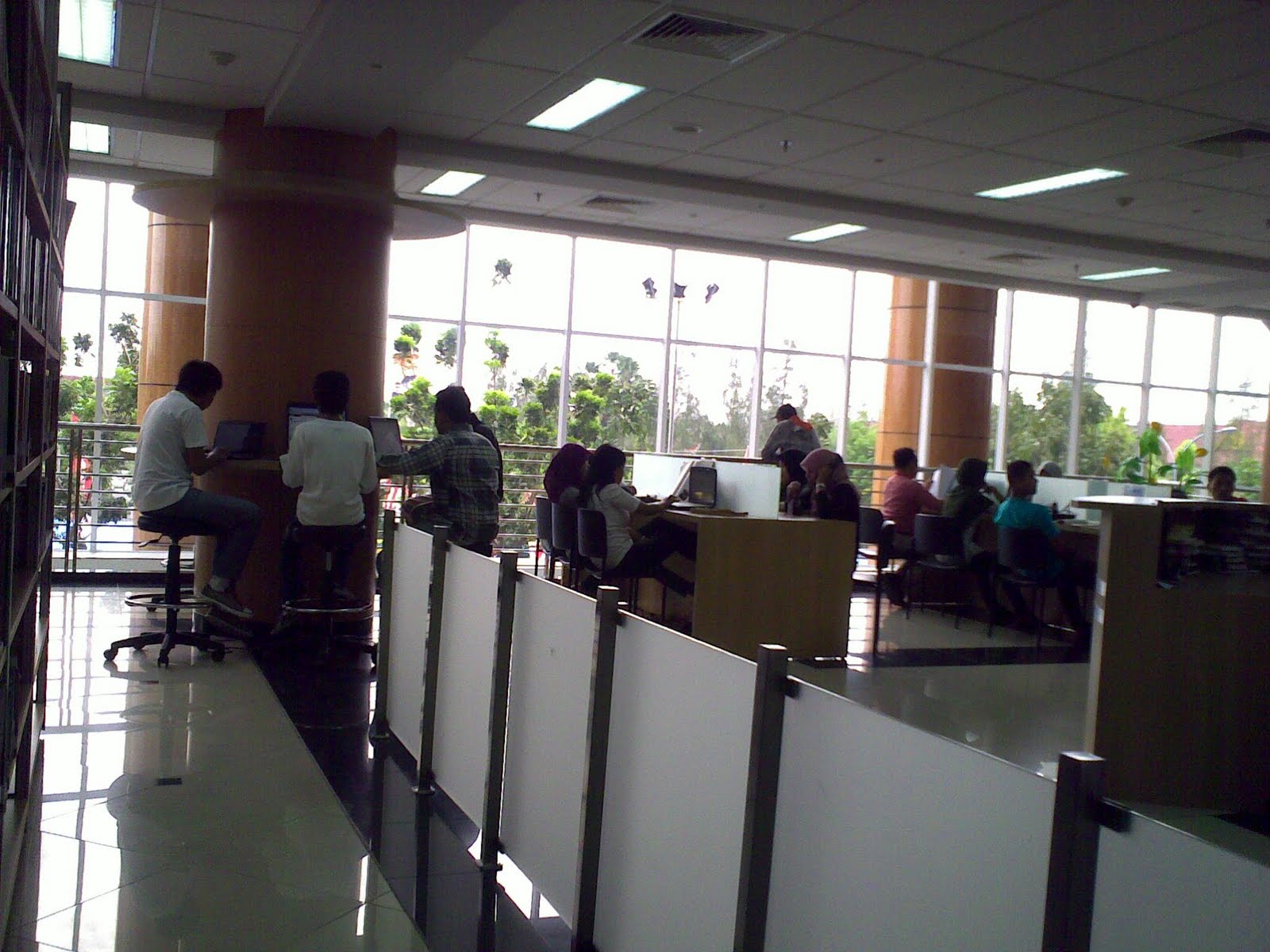 doena-days: Soeman Hs Library