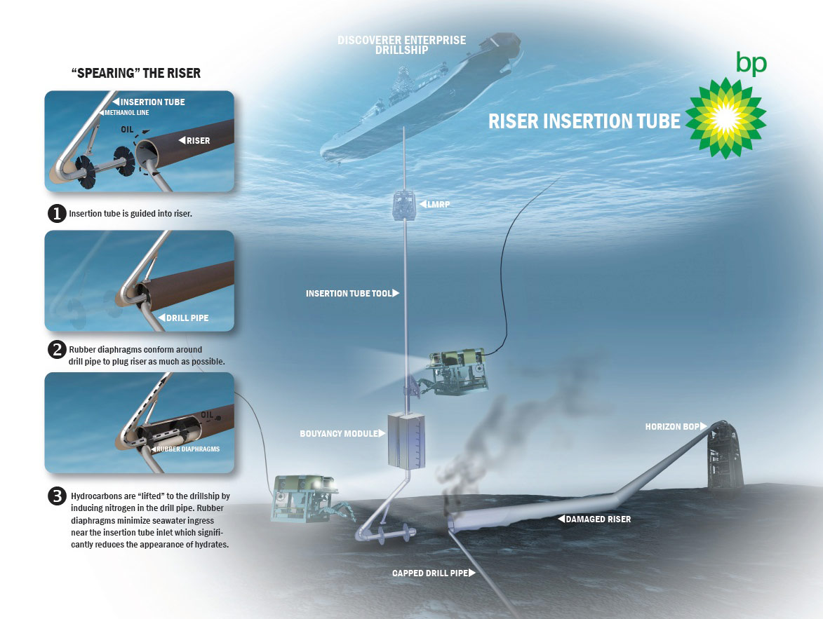 American Zombie: May 2010